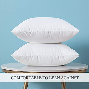 MIULEE Set of 2 Throw Pillow Inserts Hypoallergenic Premium Pillow Stuffer Square Form for Decorative Cushion Bed Couch Sofa 18x18 Inch