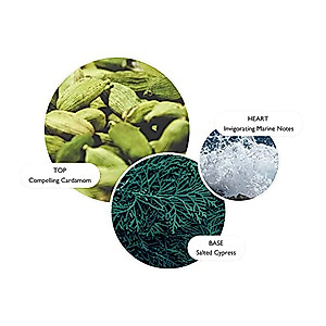 Molton Brown Coastal Cypress & Sea Fennel Fine Liquid Hand Wash , 10 Fl Oz (Pack of 1)