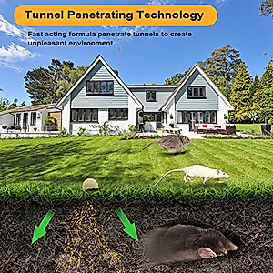 Pufado Mole Repellent, Vole Repellent Outdoor, Gopher Repellent, Mole Repellant for Lawn, Mole Deterrent for Yard, Mole Control, Keep Mole and Vole Out of Your Garden, Safe Around Pet & Plant -4 Packs