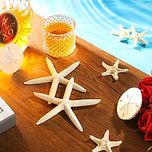 Queekay 15 Pieces Resin Starfish Sand Dollars 2.0 Inch Starfish 4.7 Inch Starfish 2.3 Inch Sand Dollars Crafts Ocean Themed Glittered Coastal Decorations for Christmas Wedding Party Decor Supplies