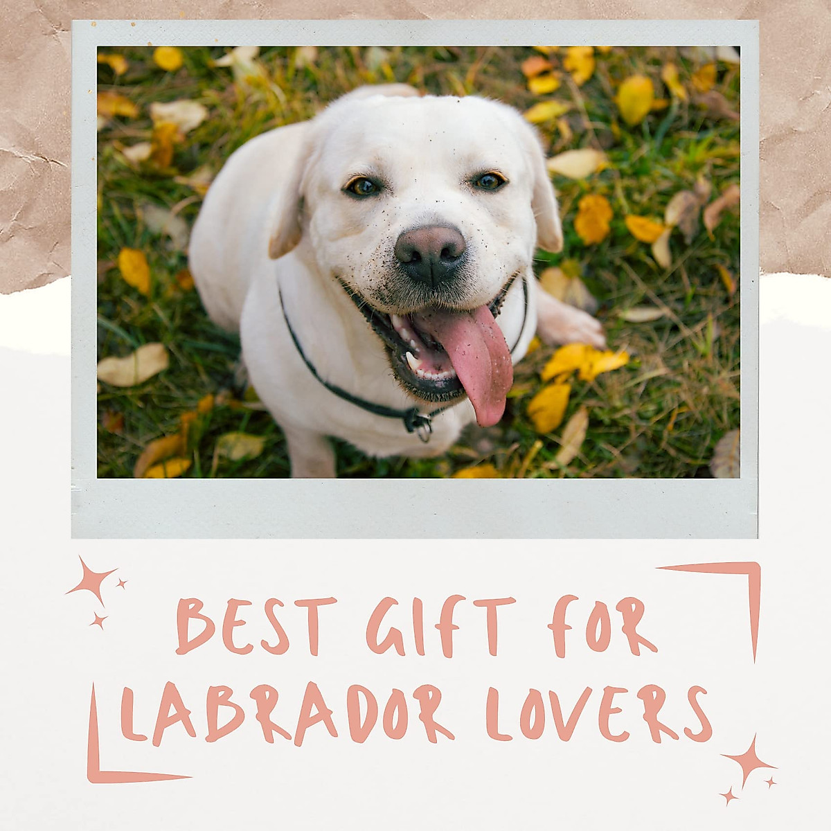 Onebttl Labrador Retriever Gifts for Women, Best Labrador Gifts for Lab Mom, 20 oz Stainless Steel Skinny Tumbler with Lid and Straw, Perfect for Christmas, Birthday, Gifts Box Included, Rose Gold