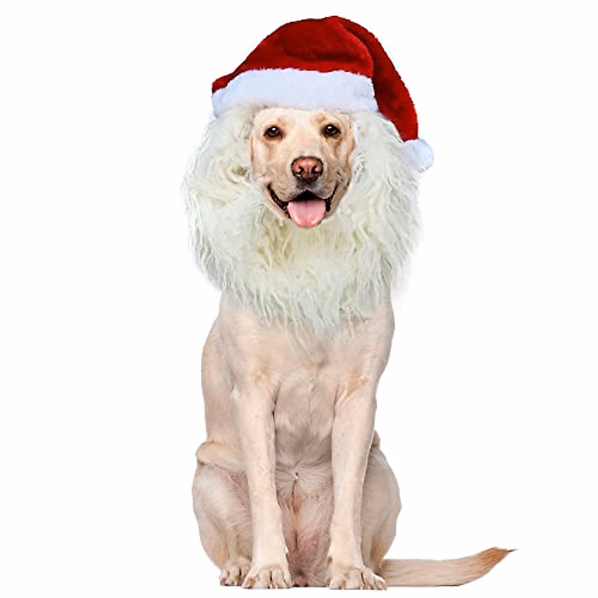 Funny Pet Reindeer Moose Costumes for Dog, Cute Furry Pet Wig for Halloween Christmas, Pet Clothing Accessories (Santa Claus, Size M)