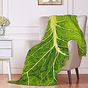 RICKYOUNG Lettuce Flannel Lightweight Blankets Quilt Plush Fleece Soft Bedding Throw Blanket for Couch and Bed 80"x60" for Adult