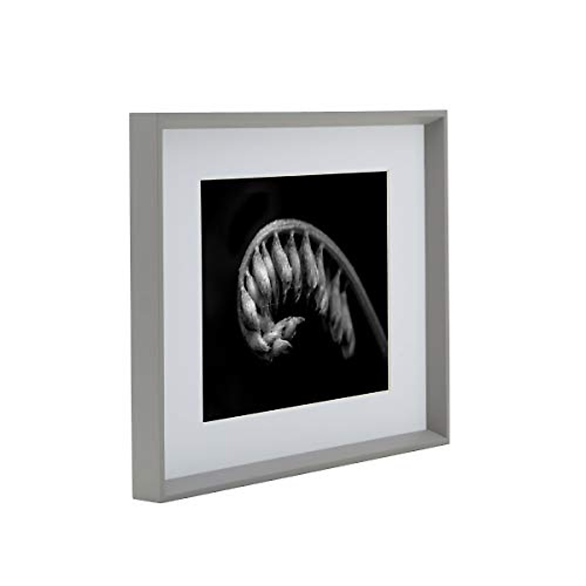 Studio Nova Picture Frame Displays 8 x 10 Photos 11 x 14 Without Mat, 11x14-Matted 8x10, Gray