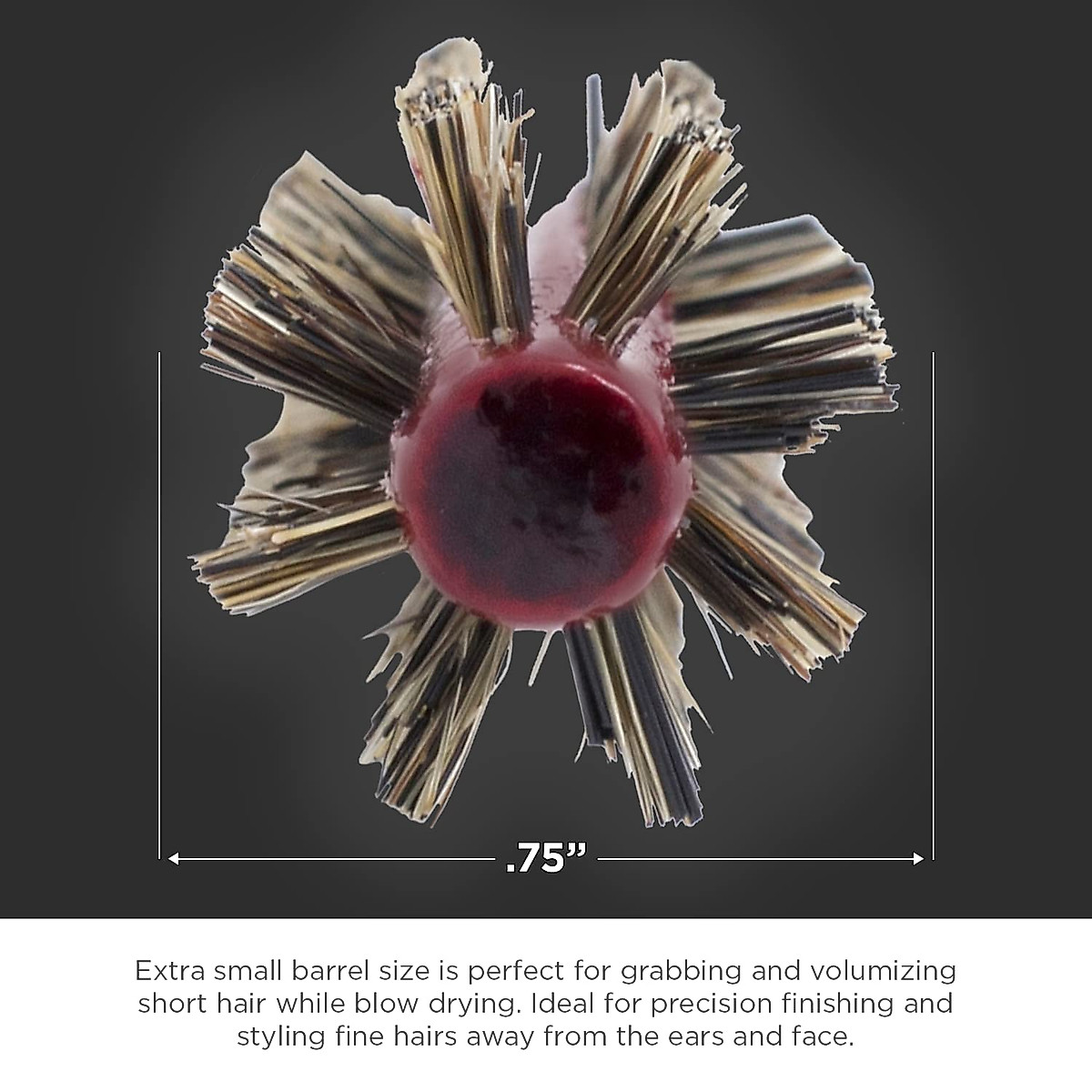 Spornette Mini Styler Boar Bristle .75 inch Round Brush (#HB-2) for Blowouts, Volume, Styling, Finishing, Curling & Setting Short, Curly, Wavy, Straight, Thick, Normal or Thin Hair on Men & Women