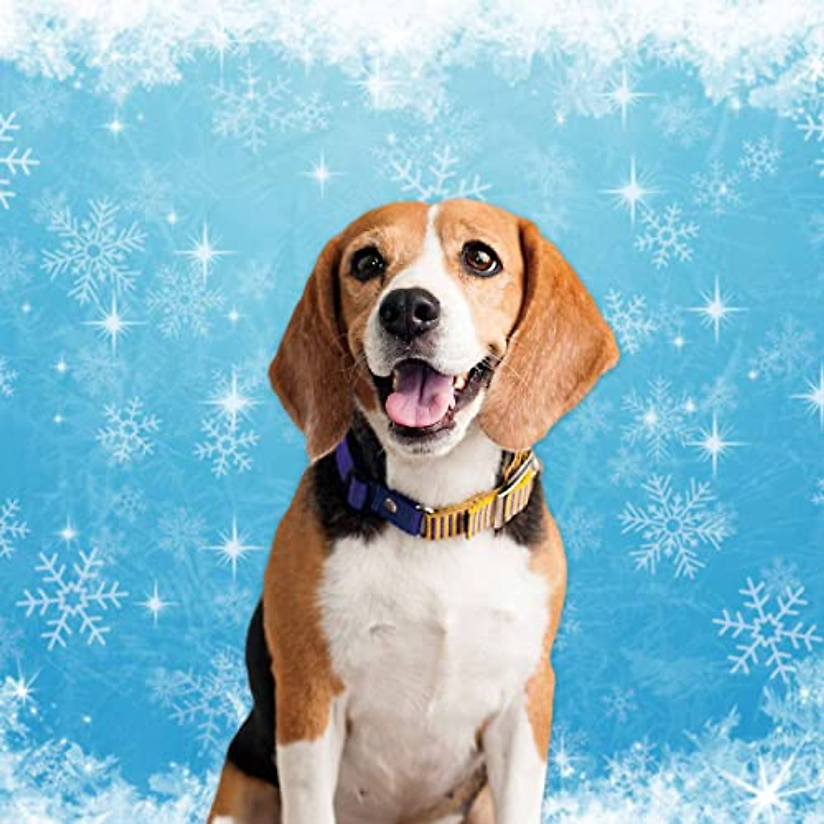 Allenjoy 7x5ft Ice Blue Winter Backdrop for Studio Photography 1st First Birthday Party Decoration Banner Festival White Snowflake Snowfall Christmas Background Baby Shower Kids Photo Booth Props