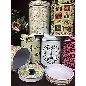 Leoyoubei 3.55x2.55 Inch Dry Storage Tinplate Caddy Box Retro Double Cover Home Kitchen Storage Containers Colorful Tins Round Tea Tins Set of 6 (shipped randomly)