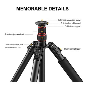 RALENO® 78'' Camera Tripod with 360° Ball Head - Versatile, Sturdy, and Compact Metal Tripod for Professional Photography (20lbs Load, Includes Bag&Disassembly Tools)