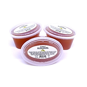 Set Of 3 Gel Melts™ of SALTED CARAMEL Aroma Gel Wax For Warmers And Burners By The Gel Candle Company PEEL, MELT AND ENJOY