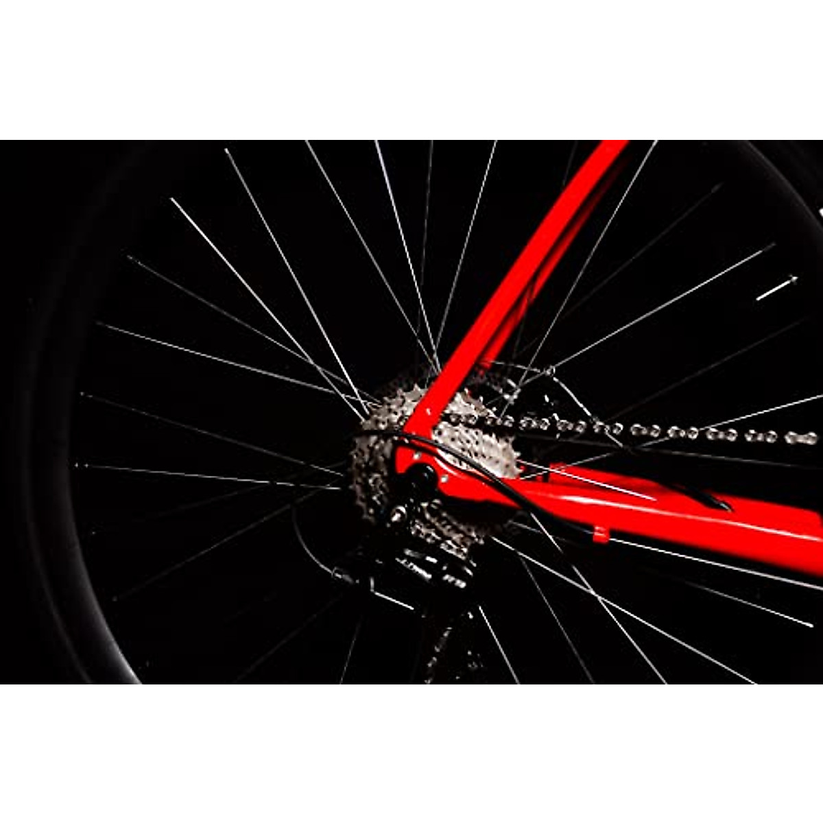 Head Pava 22 Speed Aluminum Road Bicycle with Carbon Fork in 4 Sizes