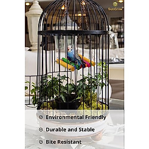 SunGrow Parrot Cage Hammock Swing, Colorful Wooden Swing with Metal Chain and Clasp, 1 Pack