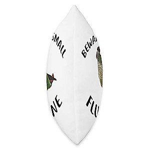 Cute Green Cheek Conure Parrot Design Funny Beware of My Green Cheek Conure Parrot Lovers Gift Throw Pillow, 18x18, Multicolor