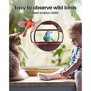 Window Bird Feeder, Desgully Metal Window Bird Feeder, Window Bird Feeders with Strong Suction Cups, Super Adhesive Sheet×4，Large Outdoor Bird Feeder, Bird Watching (Round)