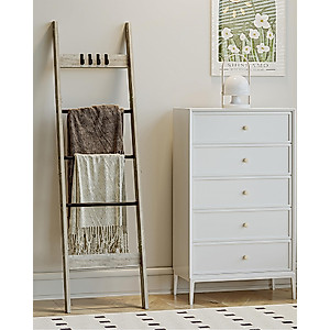 Hzuaneri Blanket Ladder for Living Room, Decorative Quilt Rack with 4 Removable Hooks, 5-Tier Farmhouse Ladder Holder Shelf Organizer for Bedroom, Greige and Black BR02105B