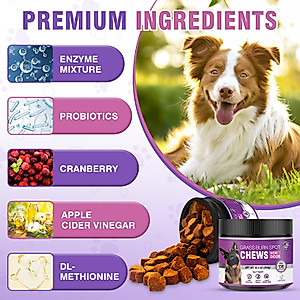 Grass Burn Spot Chews for Dogs Dog Pee Grass Neutralizer 300 Green Grass Dog Chews Dog Pee Lawn Spot Saver for Grass Burn Spots Dog Urine Neutralizer for Lawns with Probiotics Digestive Enzymes