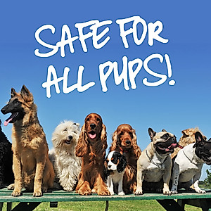 Ink Oil Itchy Pup | Itch Relief Supplement for Dogs | Calms & Soothes Rashes, Dry Skin & Insect Bite | 100% Natural Liquid Drop Pet Health Skin Care | Fast Skin Relief Therapeutic Essential Oil - 1 oz