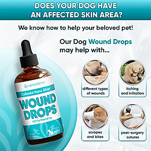 LeAcademic Dog Wound Drops | Drops for Dog Wound Care | Dog Wound Heal | Dog Wound Wash | Dog Wound Cleaner + Chlorhexidine | Wound Wash for Dogs | Colloidal Silver for Dogs | 2 Oz