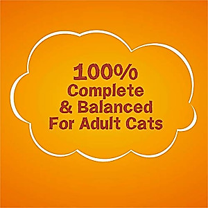 Purina Friskies Dry Cat Food, Tender & Crunchy Combo - 16 lb. Bag