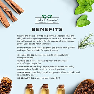 Richard’s Organics Gentle Flea and Tick Spray for Dogs –100% Natural Actives Kills Fleas, Ticks, Repels Mosquitos for Up to 4 Weeks – No Harsh Chemicals, Safe for Use Around Children (12 oz)