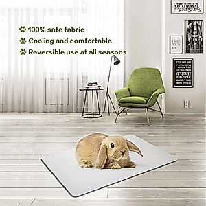 FIPASEN Rabbit Cooling Pad, 11.8x7.9 in Hamster Cooling Mat Pet Cool Plate for Rabbit Bunny Hamster Guinea Pig & Other Small Pets Stay Cool This Summer - Bite Resistance Pet Cooling Pad Ice Bed