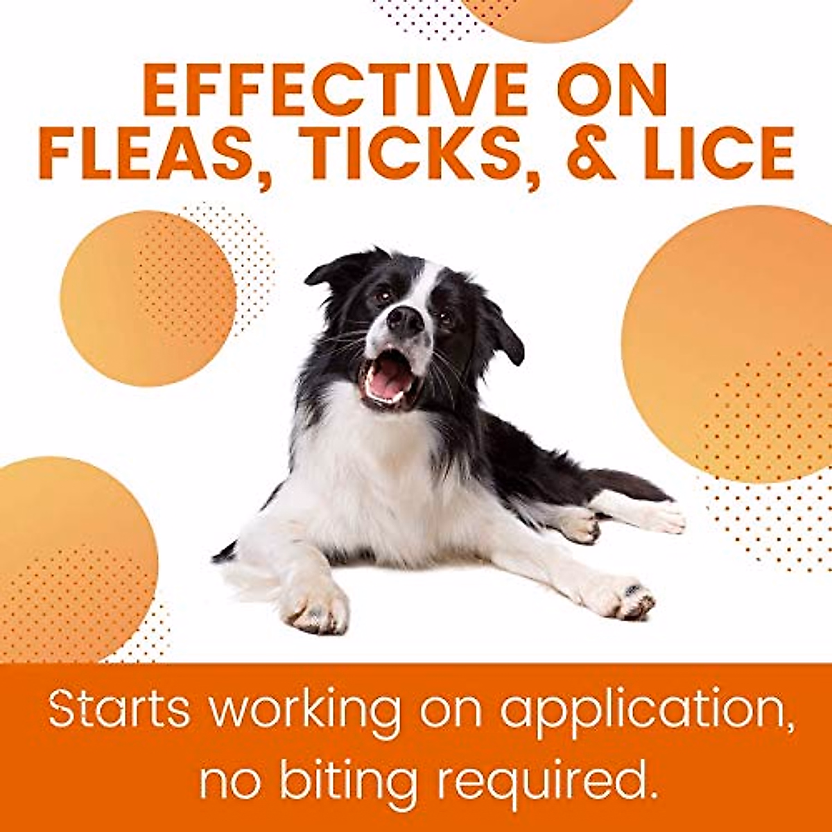 ZoGuard Plus Flea and Tick Prevention for Dogs (Small - 5-22 lb)