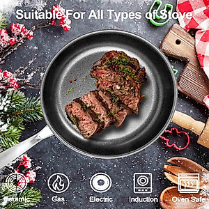 AUDANNE Nonstick Frying Pan with Lid, 10 inch Non Stick Stainless Steel Skillet with Handle - PFOA Free, Oven Safe Non-stick Teflon Coating Induction Cooking Fry Pans, Black 10"