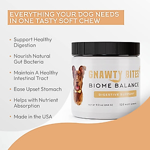 Gnawty Bites Biome Balance | Dog Probiotics for Healthy Gut Flora for Upset Stomach, Diarrhea, & Bowel Support with Digestive Enzyme & Lactobacillus (5-Strain Probiotic Blend), 120 Soft Chews