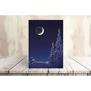 Stonehouse Collection Assorted Christmas Cards | Winter Forest Holiday Boxed Cards | USA Made | 18 Beautiful Christmas Cards & Envelopes (Forest)