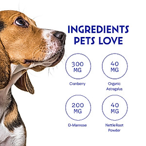 Wonder Paws Premium Kidney Support for Dogs – Cranberry Supplement for Dogs – Dog UTI Treatment – Supports Bladder, Detox, Urinary & Kidney Health – Liquid Kidney Supplement for Dogs 2 oz (60ml)