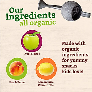 Pumpkin Tree Peter Rabbit Organics Apple and Peach, Fruit Snack Squeeze Pouch, 4 Ounce (Pack of 10)