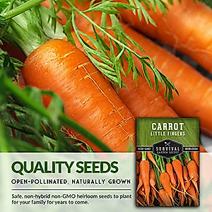 Survival Garden Seeds - Little Fingers Carrot Seed for Planting - Packet with Instructions to Plant and Grow Delicious Baby Carrots in Your Home Vegetable Garden - Non-GMO Heirloom Variety - 1 Pack