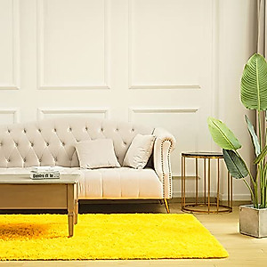 Amearea Premium Soft Fluffy Area Rug Modern Shag Carpet, 5' x 7', Fuzzy Plush Rugs for Living Room Bedroom Kids Room Home Decor, Nursery Non Slip Indoor Shaggy Carpets, Yellow
