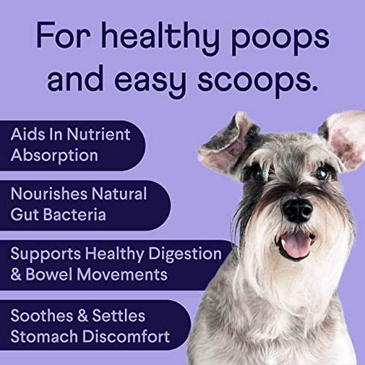 Finn Digestive Probiotics for Dogs - Complete Digestive System Support with Pumpkin, Prebiotics, & Live Probiotics - Vet Recommended & Made in The USA - 90 Soft Chews