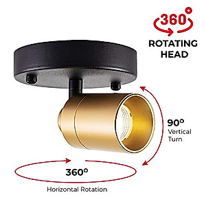 VidaLite LED Monopoint Sconce Adjustable Flush Mount Spot Light