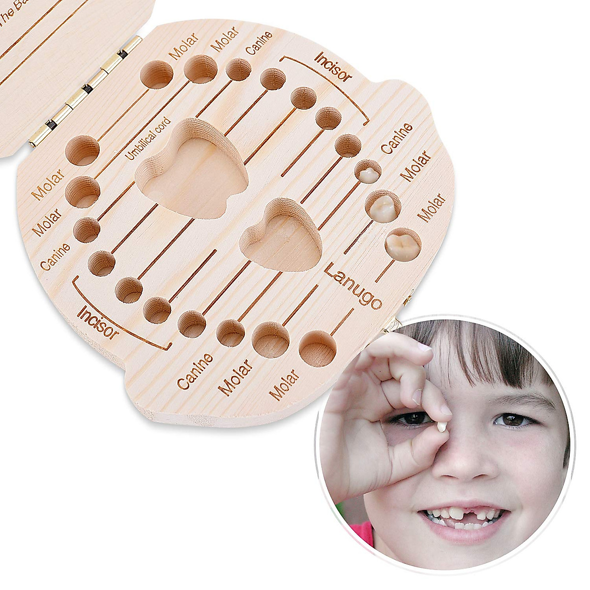 Baby Tooth Box by NASHRIO - Wooden Kids Keepsake Organizer Gift for Baby Teeth, Cute Children Tooth Container with Tweezers to Keep the Childwood Memory (Boy)