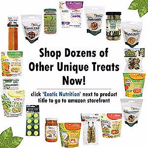 Mango & Papaya Treat (4.5 oz.) - Healthy Natural Dried Fruit Treat - For Sugar Gliders, Hedgehogs, Prairie Dogs, Chinchillas, Monkeys, Squirrels, Skunks, Parrots, Degus, Marmosets & Other Small Pets