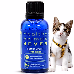 HealthyAnimals4Ever Bad Breath for Cats Pellets - Dissolvable - No Brushing - for Clean Teeth, Plaque & Tartar Control - All-Natural, Non-GMO, Organic - Preservative & Chemical Free - 300 ct