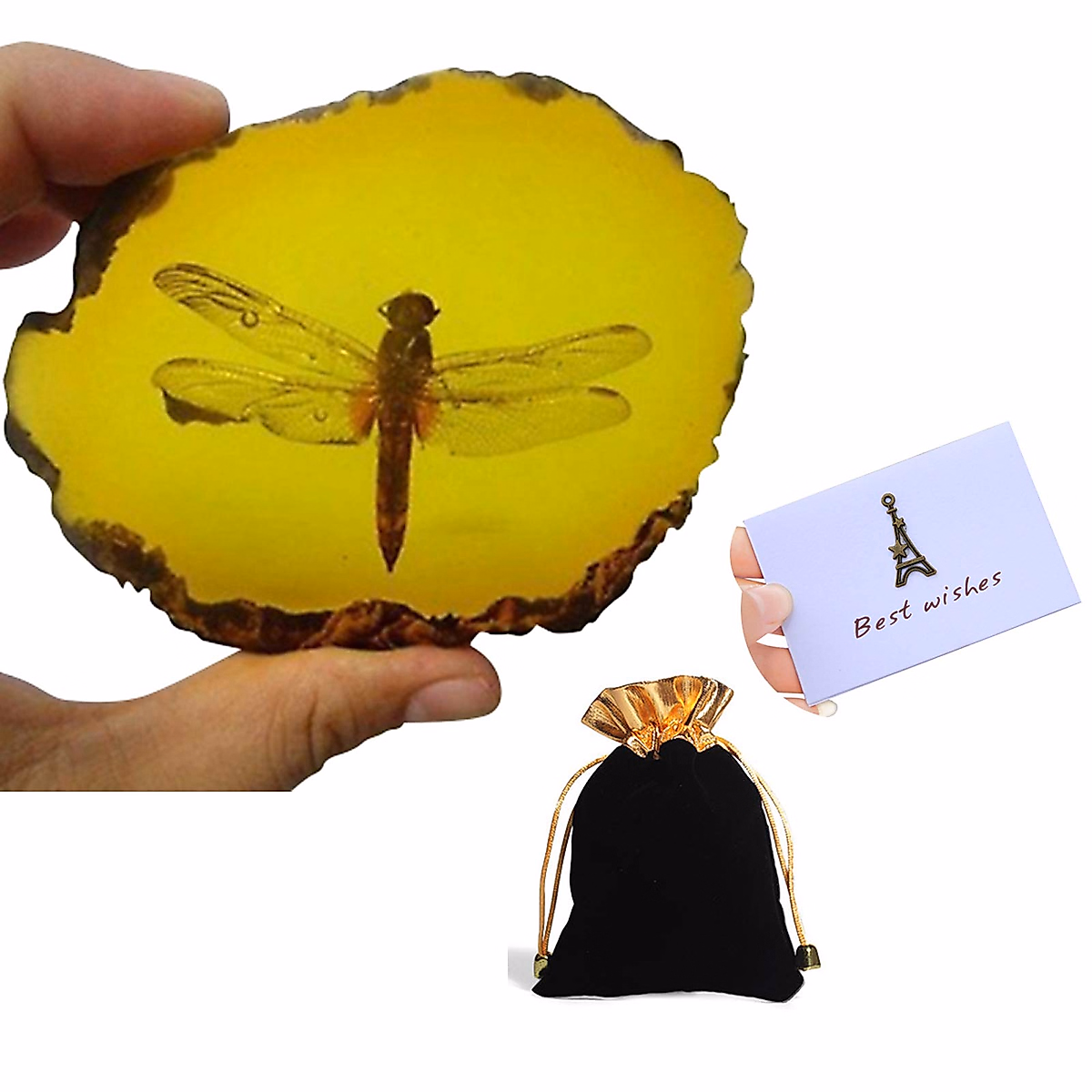 Amber Fossil Insect with Gift Bag and Gift Card，Museum Grade Specimen，Artificial Amber Natural Insect
