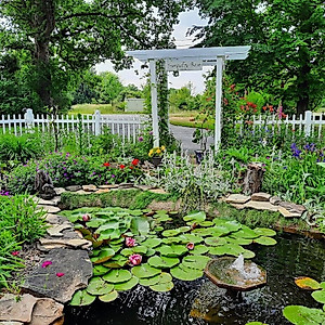 PondH2o Natural Stone Liner, Decorative Water Garden Koi Fish Pond Lining Real Gravel 1.9 Feet x 6.6 Feet (0.6m x 2m), Backyard Pond Liner Border