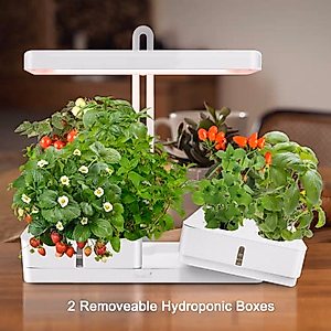 GrowLED Indoor Garden Hydroponic Growing System: Plant Germination Kit Aeroponic Herb Vegetable Growth Lamp Countertop with LED Grow Light - Hydrophonic Planter Grower Harvest Veggie Lettuce