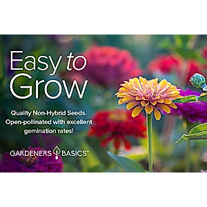 Zinnia Seeds for Planting Outdoors Flower Seeds (5 Variety Pack) Thumbelina, Lilliput, Envy, Purple Prince and Pompon Varieties for Butterflies, Bees, Pollinators Wildflower Seed by Gardeners Basics