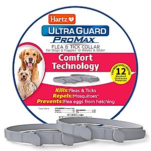 Hartz UltraGuard ProMax Flea & Tick Collar for Dogs I 12 Months Protection I Soft & Comfortable Flea & Tick Prevention I 2 Pack,Gray