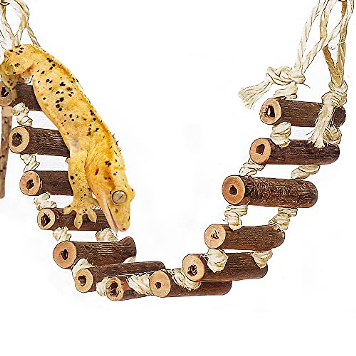 Meric Gecko Ladder Bridge, Raw Wood Hanging Climber, Flexible Swinging Footway, Provides Physical & Mental Encouragement, Entertainment for Lizards, Hamster, Gerbil, 1-pc