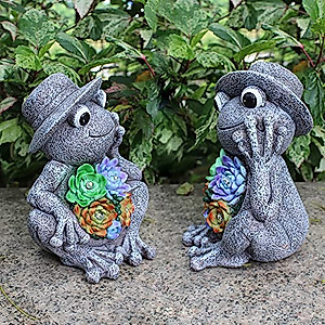 Tiemahun Garden Statues Frog Figurine - Adorable Animal Resin Succulent Plants with Solar Powered 4-LED Lights for Halloween, Patio, Lawn, Yard Porch Art Decoration, Ornaments Gift (Hat)