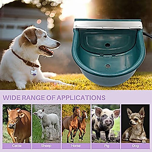 PAULOZYN Heated Livestock Water Bowl Kits Automatic Animals Dog Waterer Trough Outdoors Winter Animals Water Dispenser for Chicken Pet Cattle Horse Pig Cow Goat Sheep, with 2PCS Float Ball Valves