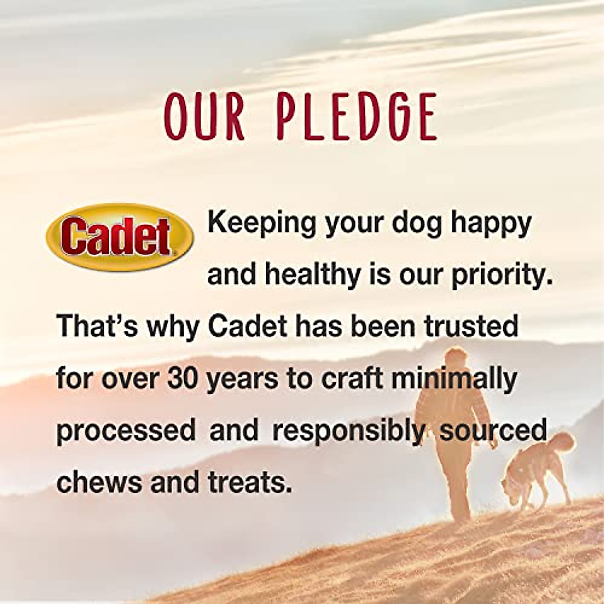 Cadet Bully Hide Sticks for Small, Medium and Large Dogs – All-Natural Beef Pizzle, High Protein, Low Fat, Long-Lasting, Grain & Rawhide-Free Dog Chews for Aggressive Chewers, Large (7 Count)