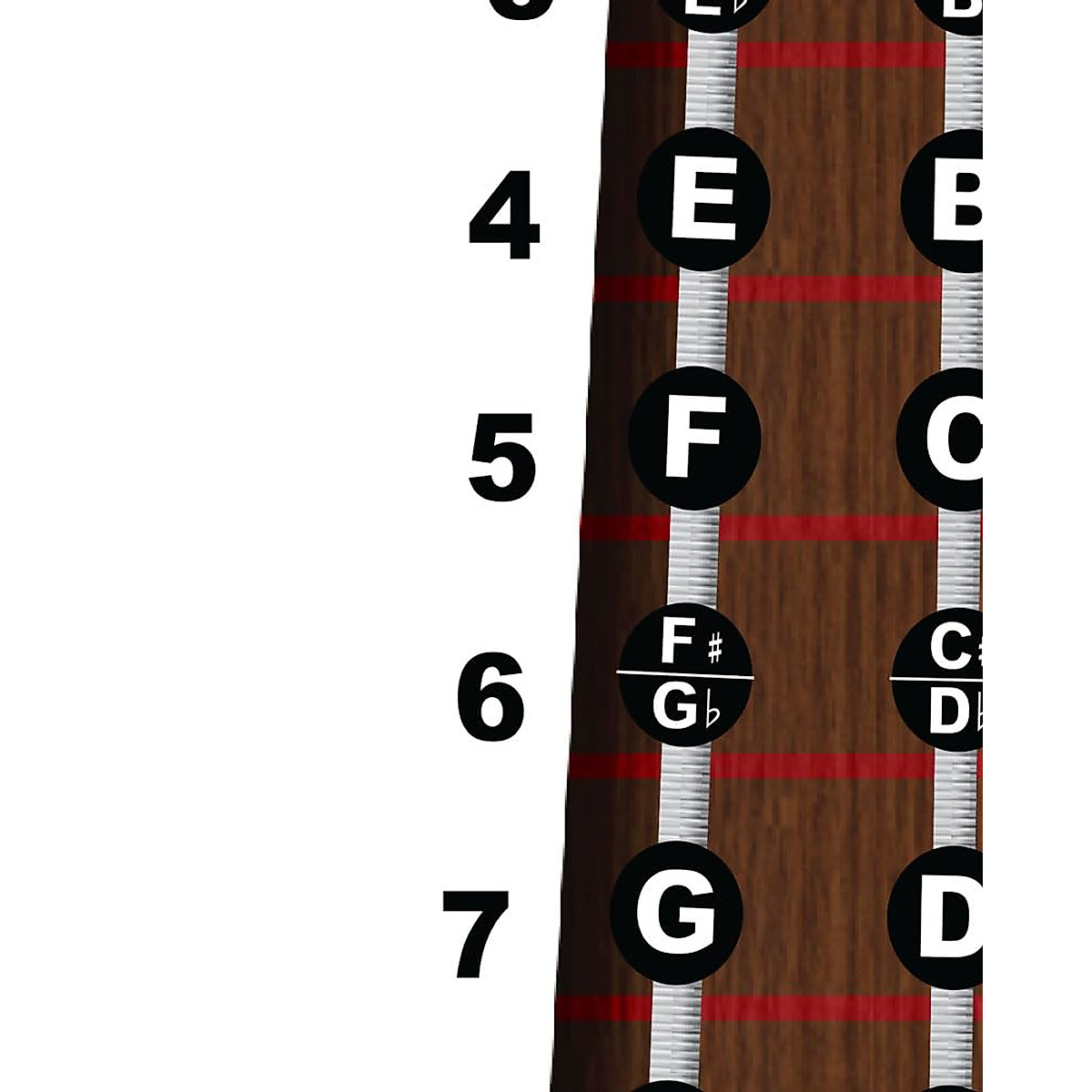 Laminated Viola Fingerboard Note Instructional Chart - Poster includes Circle of 5ths & Nashville Numbering System 11x17 | A New Song Music