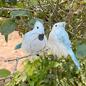 LWINGFLYER 6pcs Realistic Blue Jay Birds Clip on Ornaments Artificial Feathered Birds for Christmas Tree Decoration Wreaths Craft