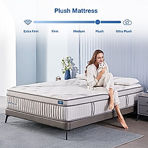 Lechepussleep Queen Mattress,Lechepus 14 Inch Hybrid Memory Foam Mattresses with Pocket Springs,Mattress in Box,Plush Feel Euro Top Mattress for Cool Sleep & Back Pain Relief,CertiPUR-US Foam