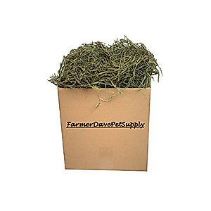 FarmerDavePetSupply 3 Lb Second Cut Timothy Hay, Bunny, Guinea Pig and Chinchilla Hay